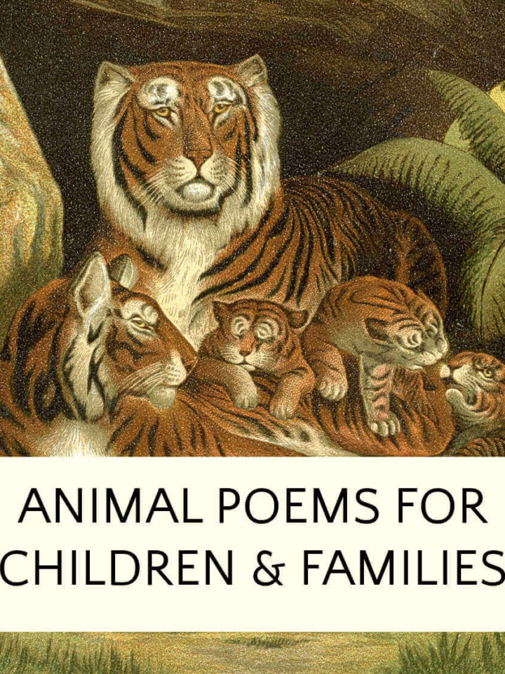 Literacy Activities for Kids