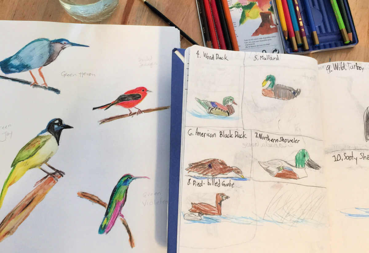 Creative Journal Ideas for Kids